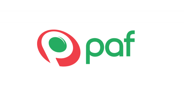 Paf expands onboard operations with Bell Casino acquisition - Gaming ...