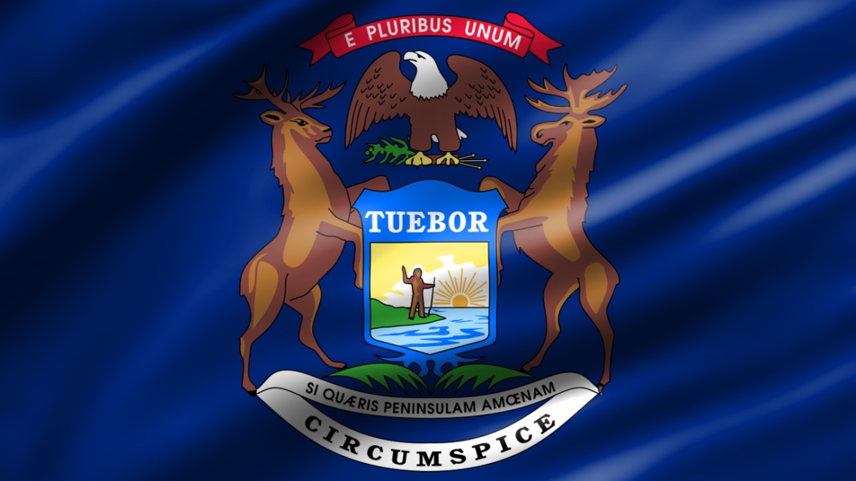 Michigan gambling regulator targets nine unlicensed operators - Gaming ...